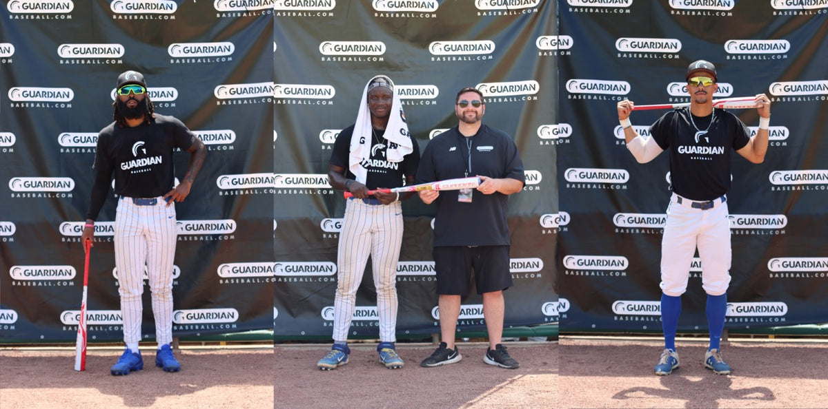 Guardian Baseball: Giving Back